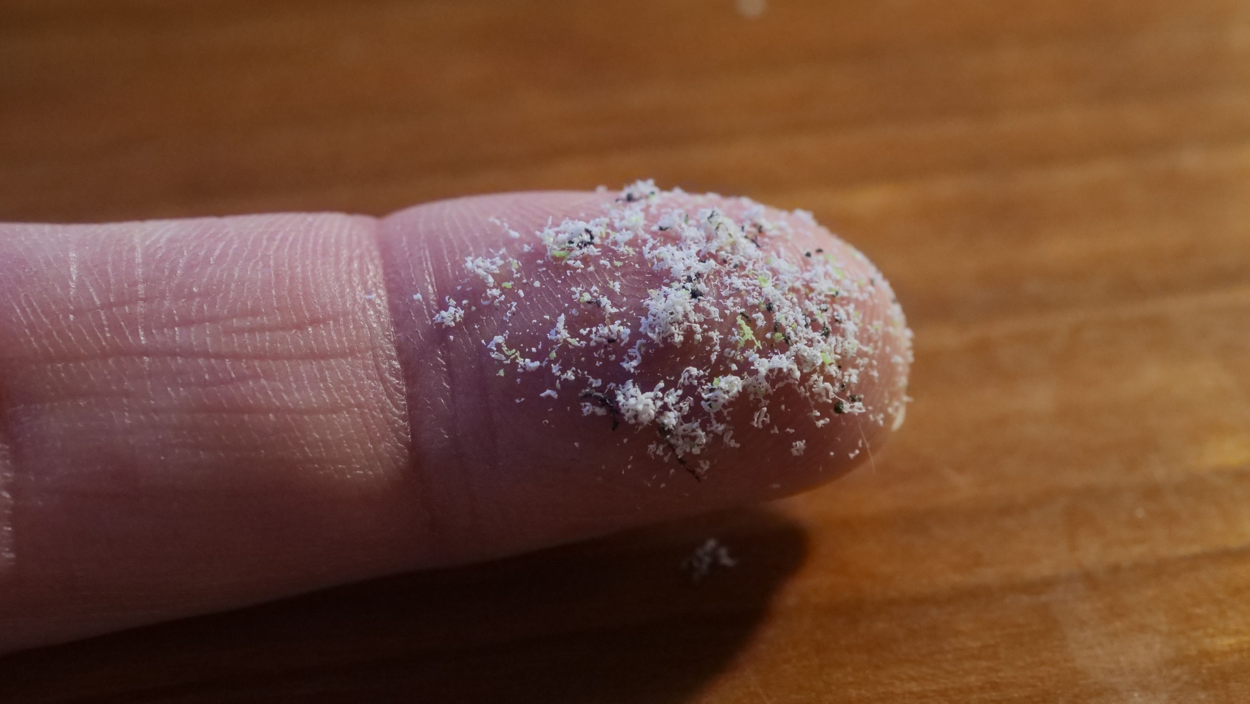 Microplastics are everywhere