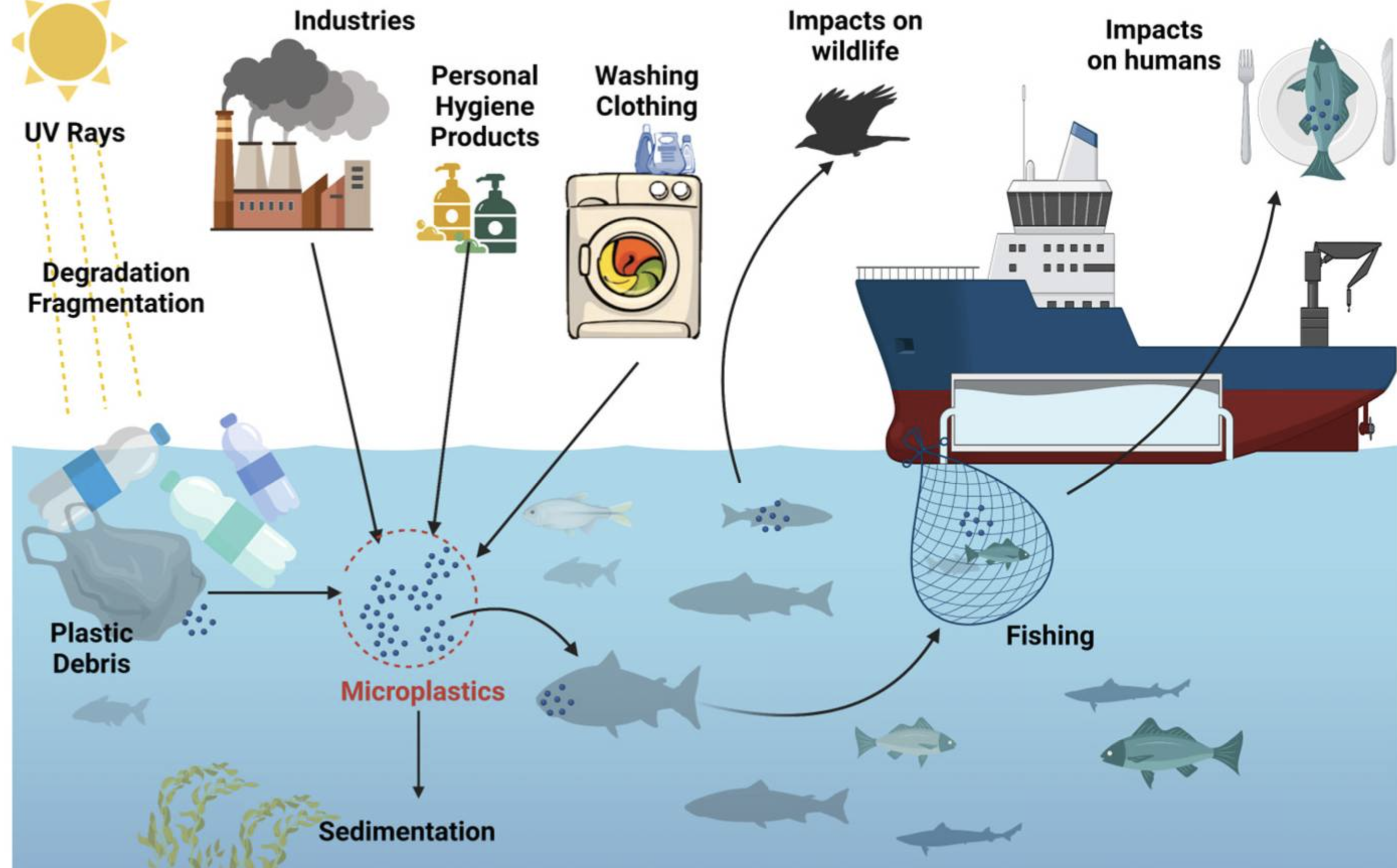 Microplastics are everywhere